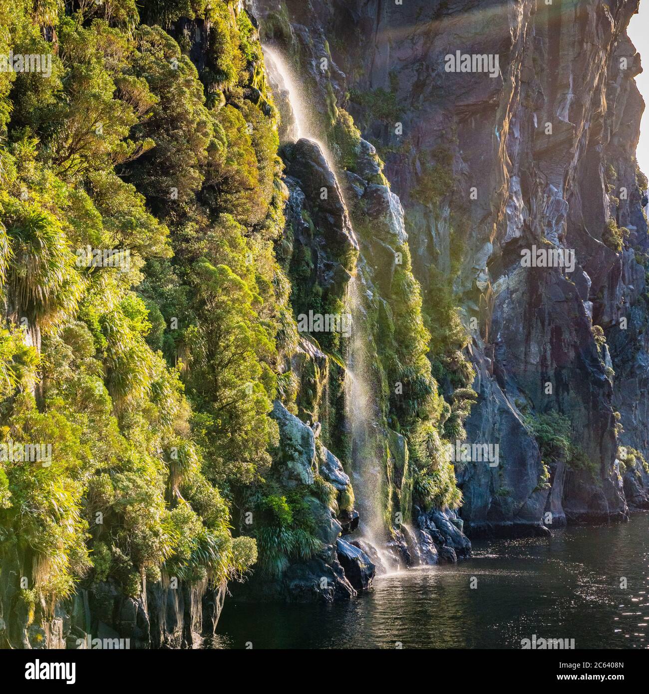 Milford waterfall in sunlights Stock Photo - Alamy