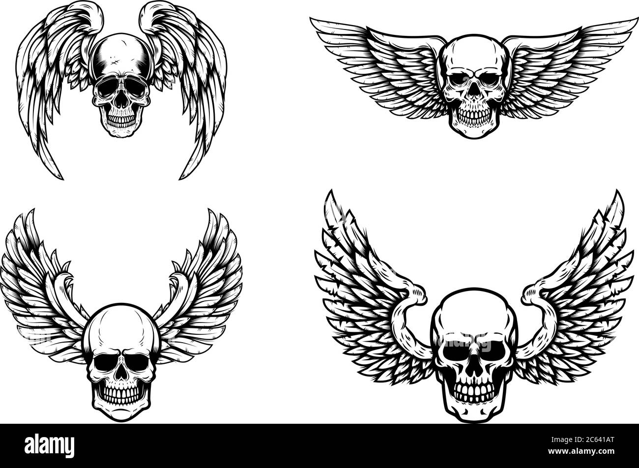 Winged Human Skull Logo Royalty Free Vector Image
