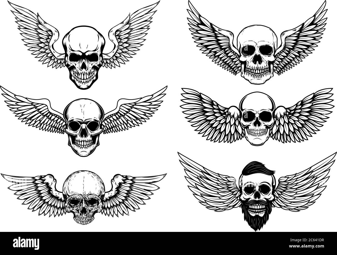 Winged Human Skull Logo Royalty Free Vector Image