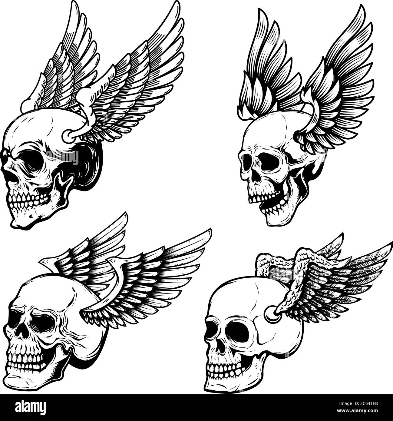 Winged Human Skull Logo Royalty Free Vector Image