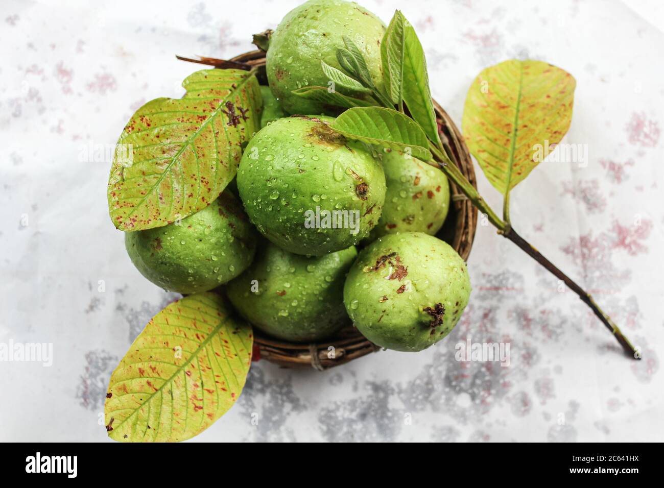 Animal fruit plant hi-res stock photography and images - Alamy