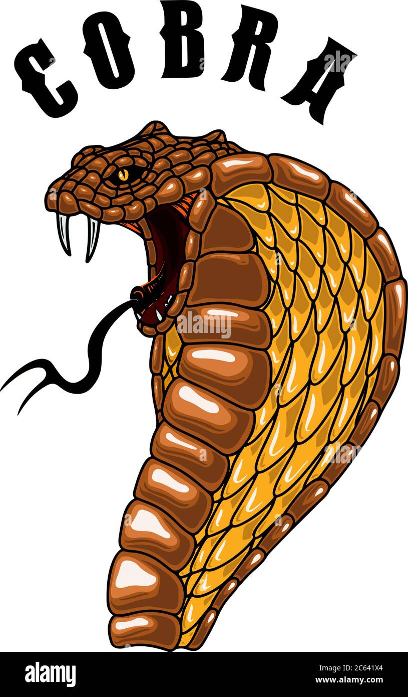 Cobra Snake Drawings