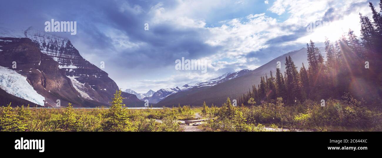 Beautiful Mount Robson in summer season, Canada Stock Photo - Alamy