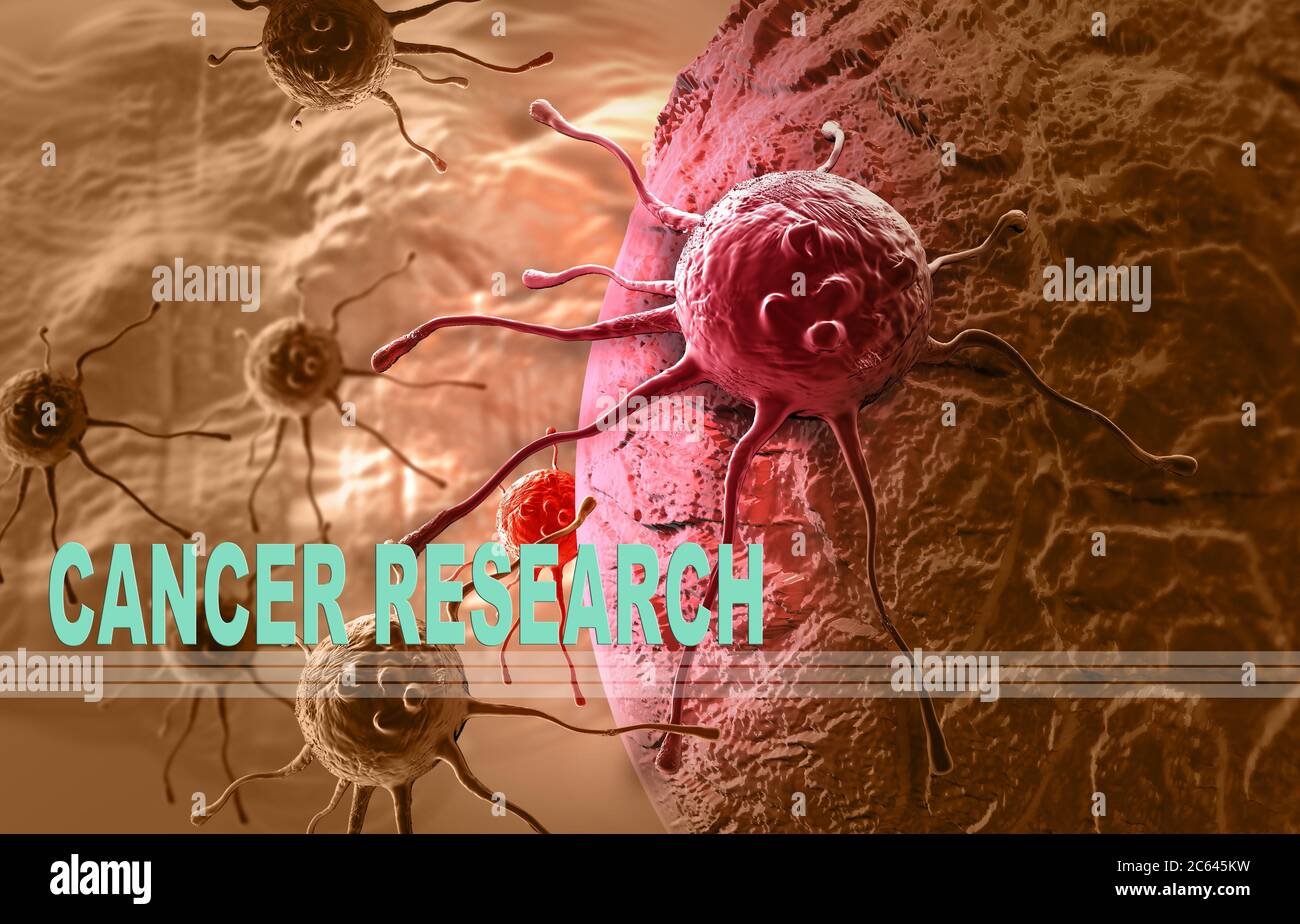 word CANCER RESEARCH writing on cancer image background Stock Photo - Alamy