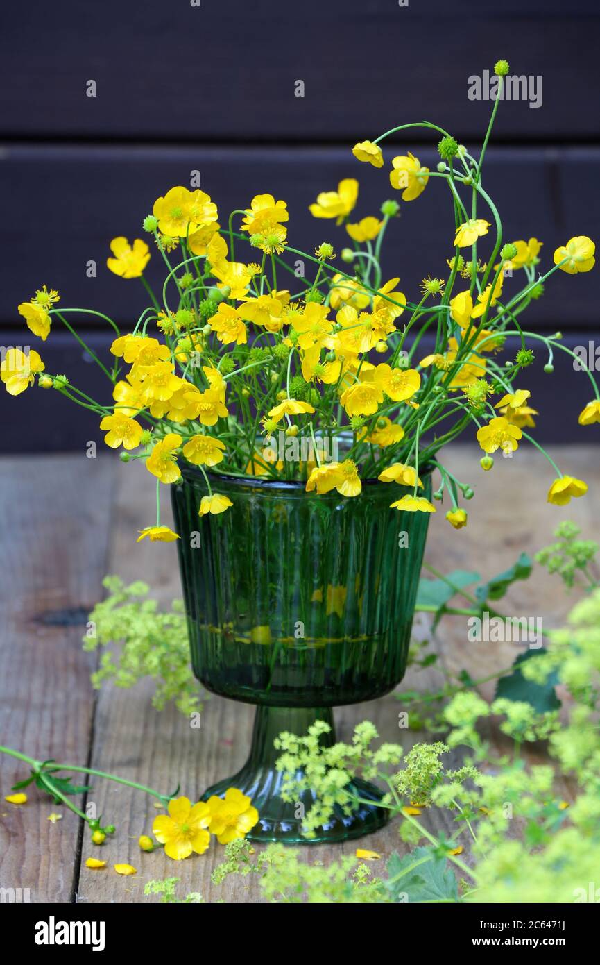 bouquet of buttercup flowers in glass vase Stock Photo - Alamy