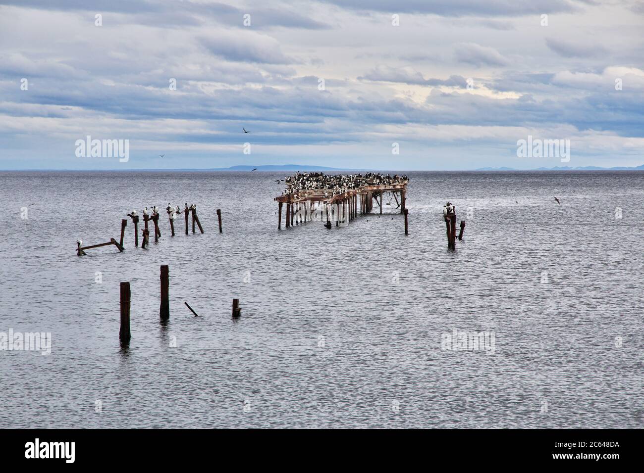Old Wharf in the Harbor of Punta Arenas, Patagonia, Chile Stock Photo ...