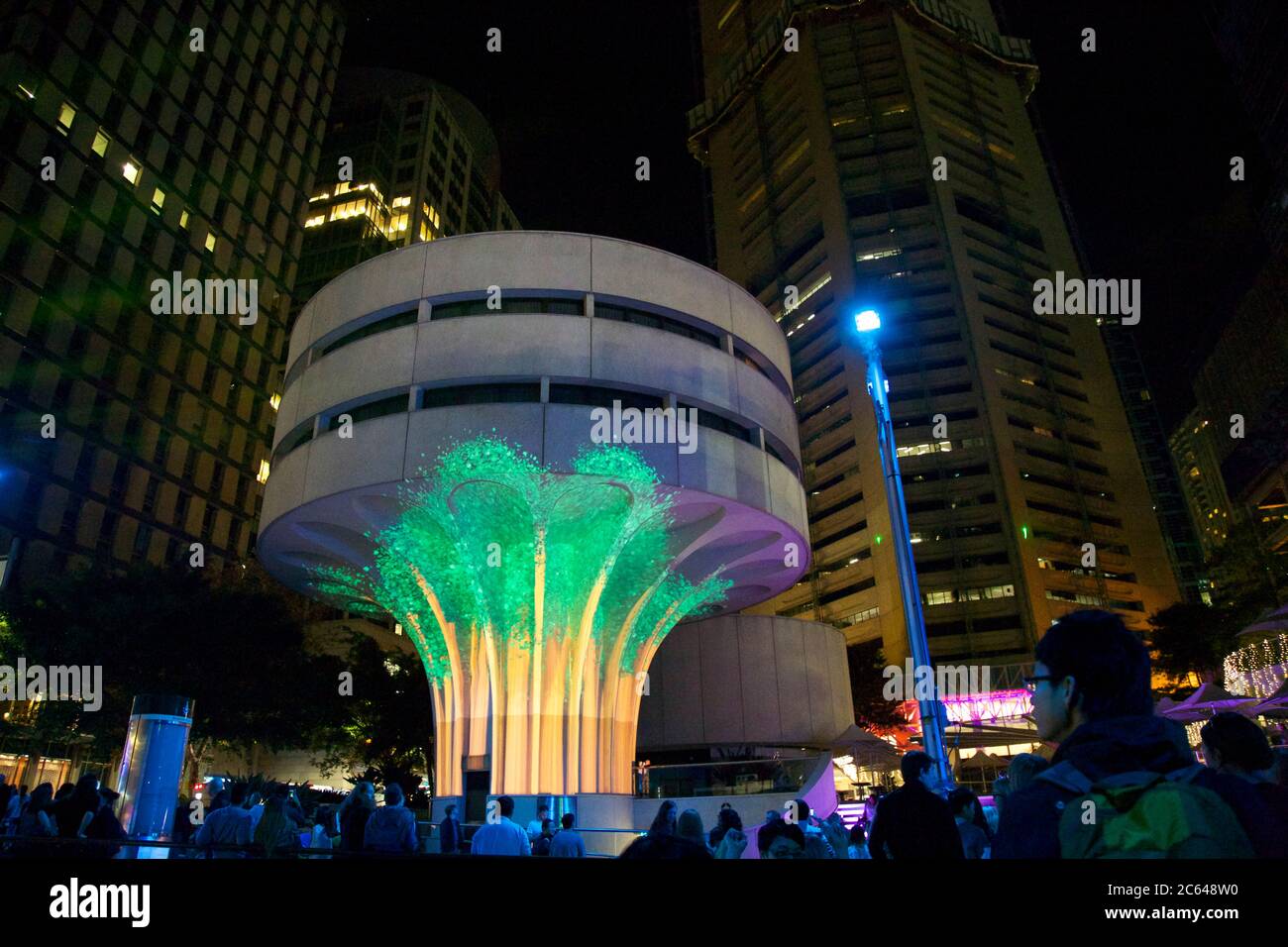 A building in Martin Place appears to grow like a tree as it is ...