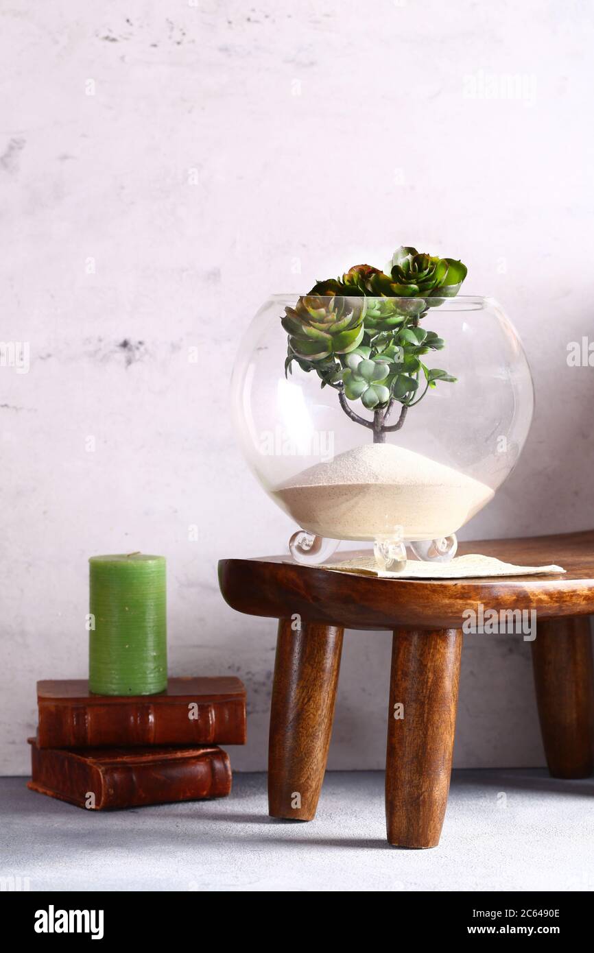 interior design with lively florarium for coziness Stock Photo - Alamy