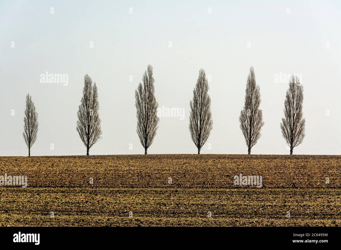 Rural scene in nature hi-res stock photography and images - Alamy