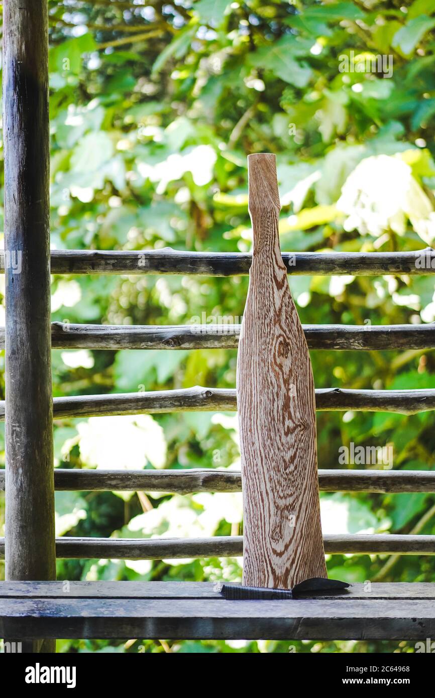 The sape' (sampek, sampeh, sapek) is a traditional lute of many of the ...