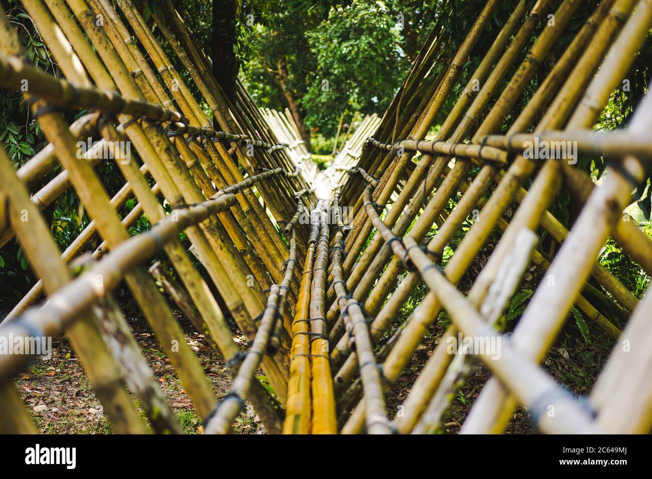 bamboo bridge across a river inside a jungle Stock Photo - Alamy