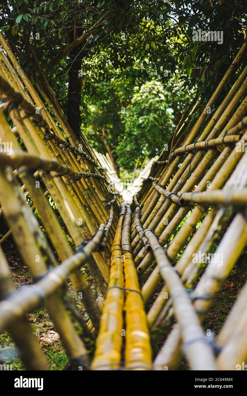 Jungle Bamboo Bridge Stone Stairs Leading To Woven Bamboo Bridge Over