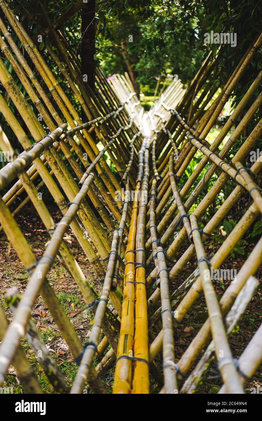 bamboo bridge across a river inside a jungle Stock Photo - Alamy