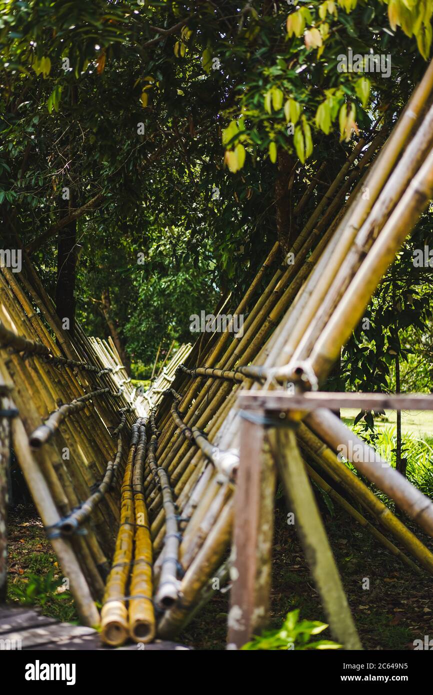 bamboo bridge across a river inside a jungle Stock Photo - Alamy