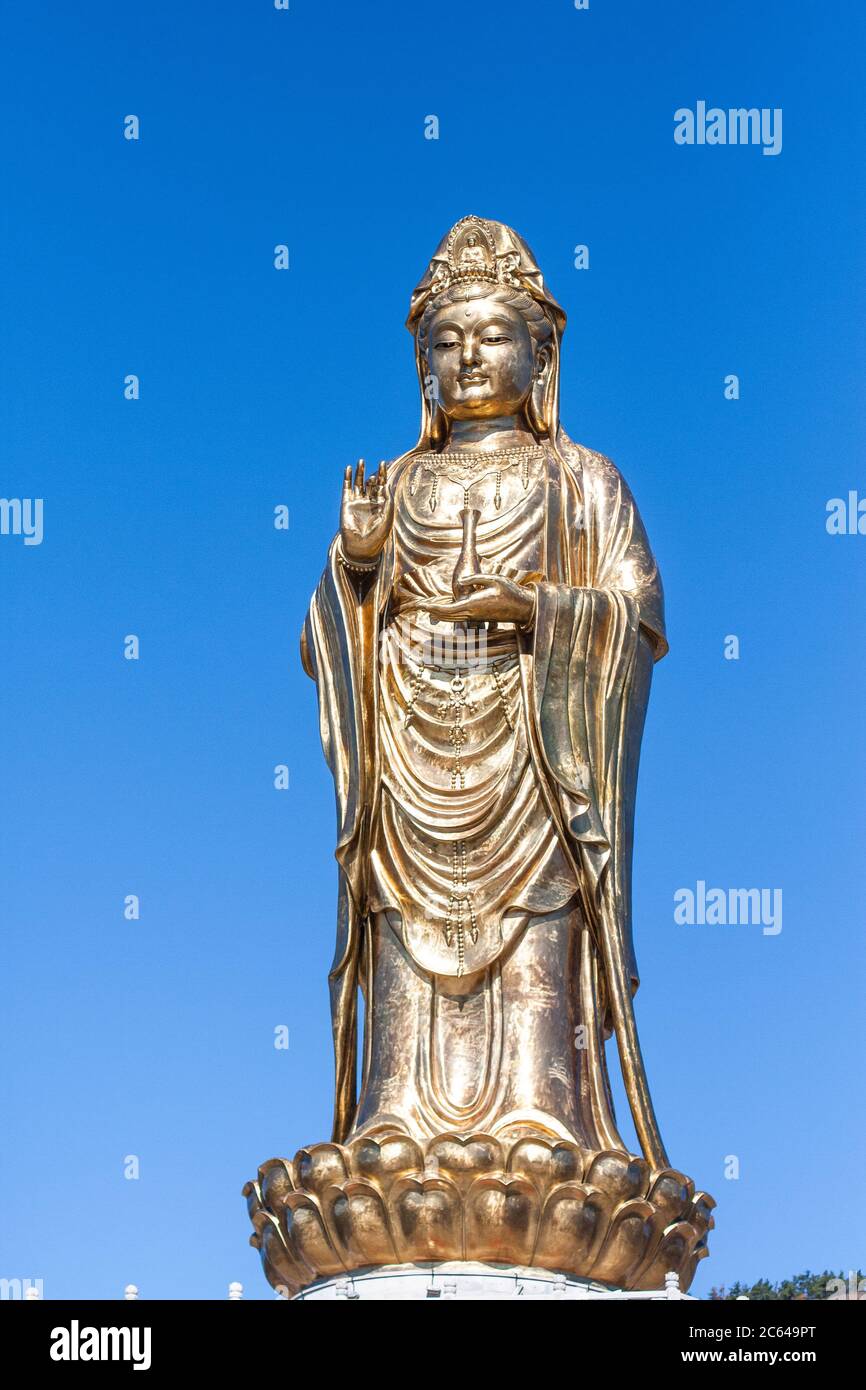 Love dalian hi-res stock photography and images - Alamy