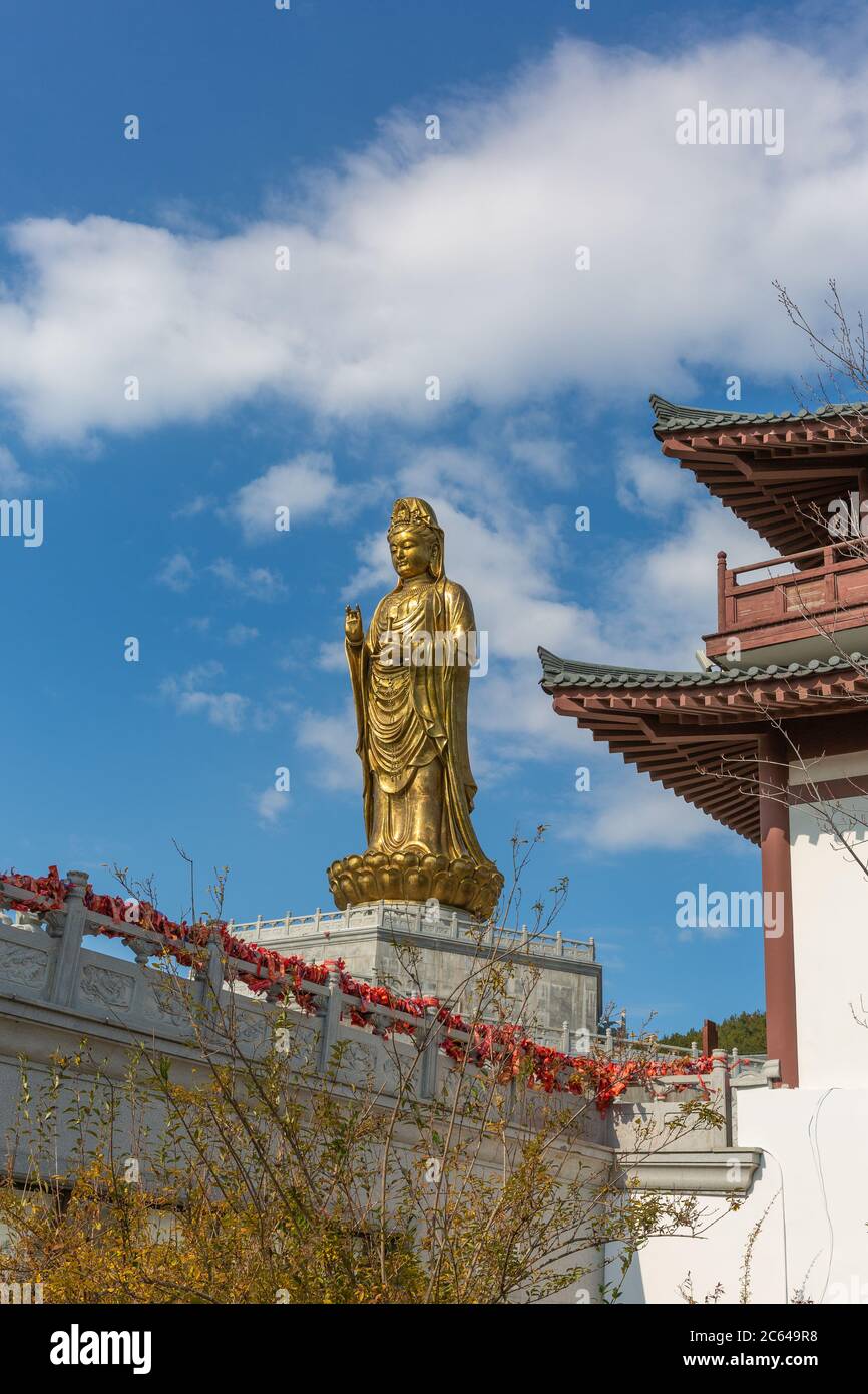 Love dalian hi-res stock photography and images - Alamy