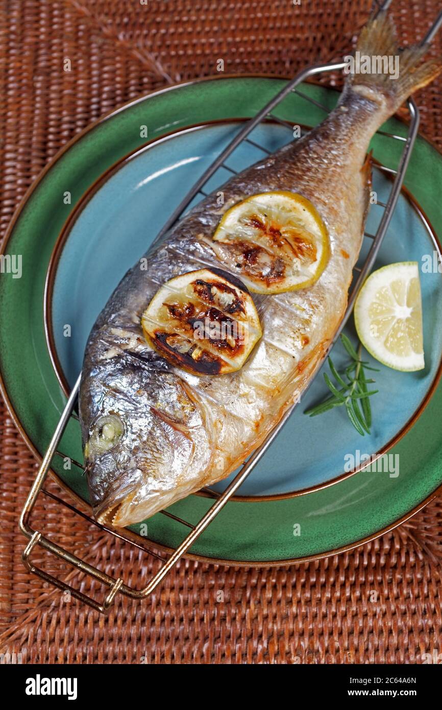 Dorade hi-res stock photography and images - Alamy