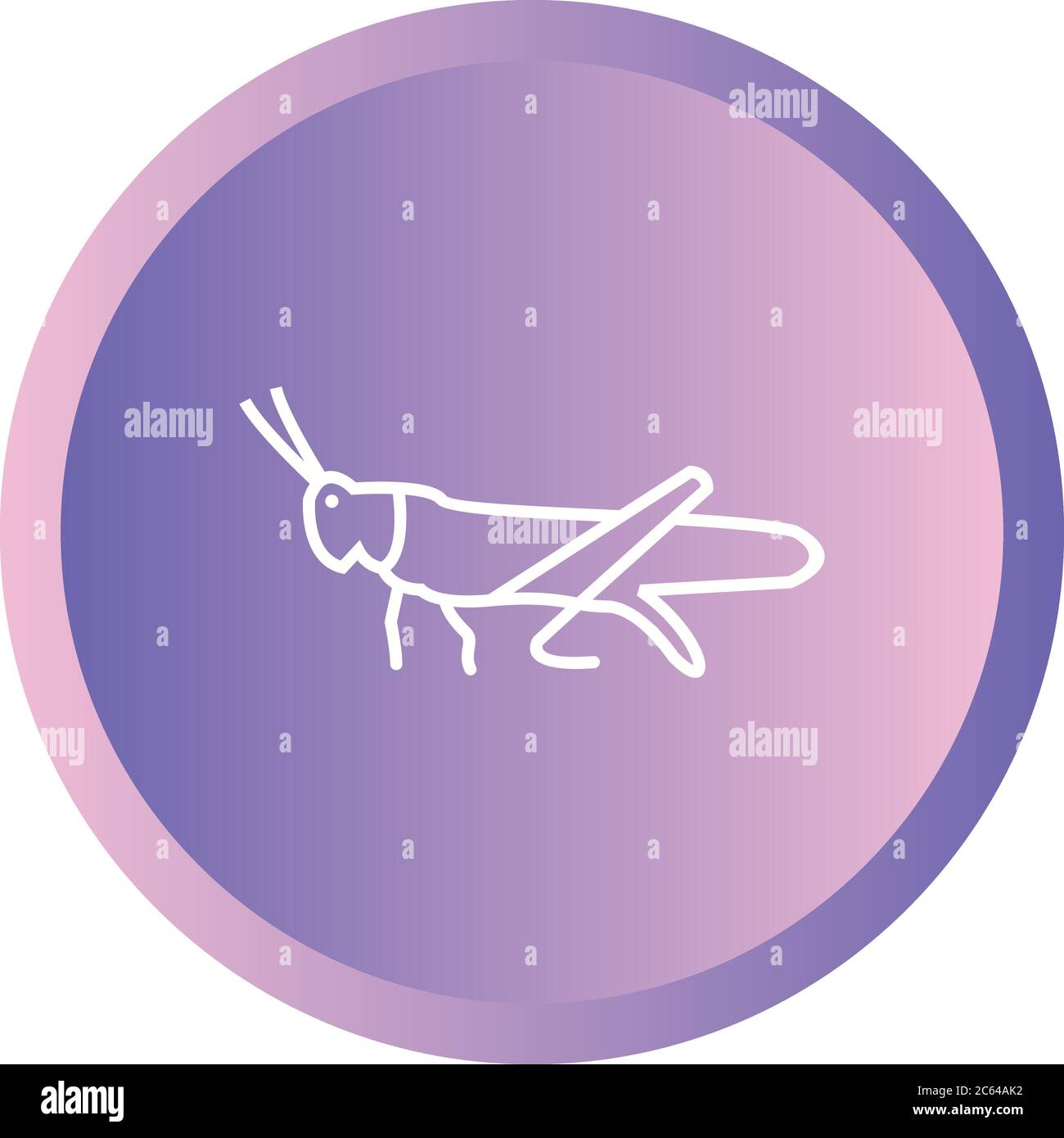 Unique grasshopper Line Vector Icon Stock Vector Image & Art - Alamy