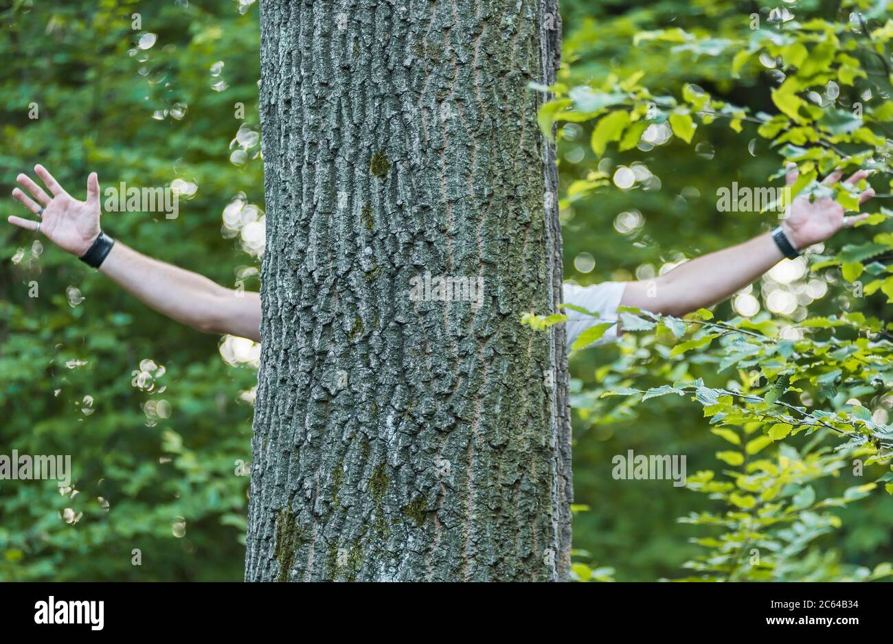 Hug a tree hi-res stock photography and images - Alamy