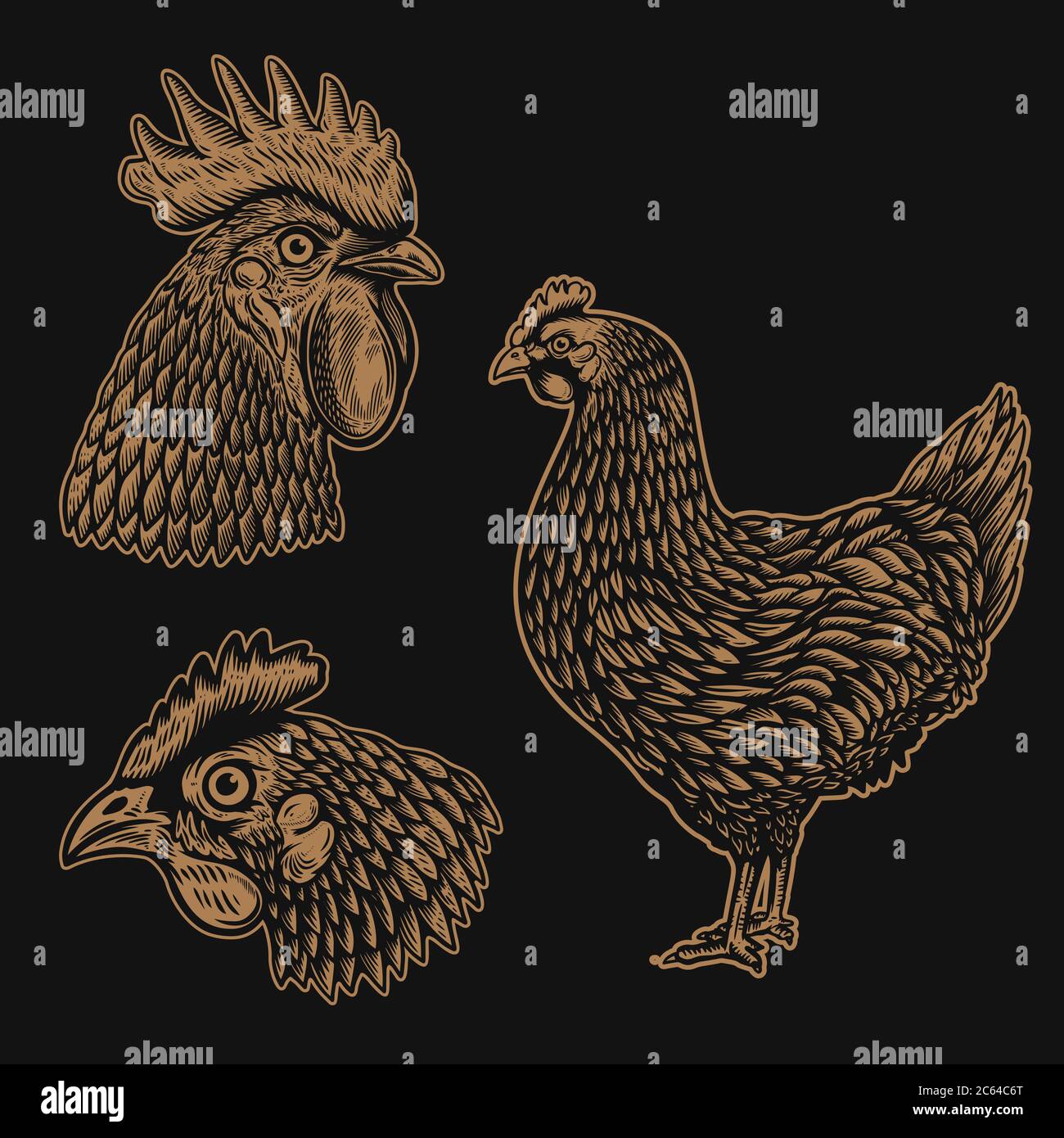 Set of Illustrations of rooster, chicken in engraving style. Design ...