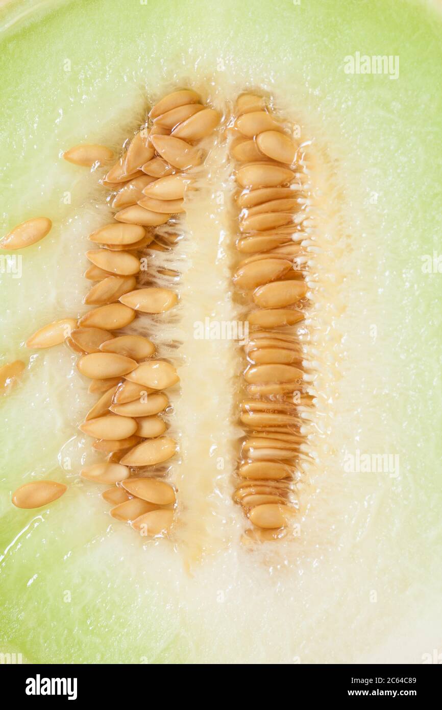 Closeup of melon with pips as food background. Fruit, diet and healthy ...