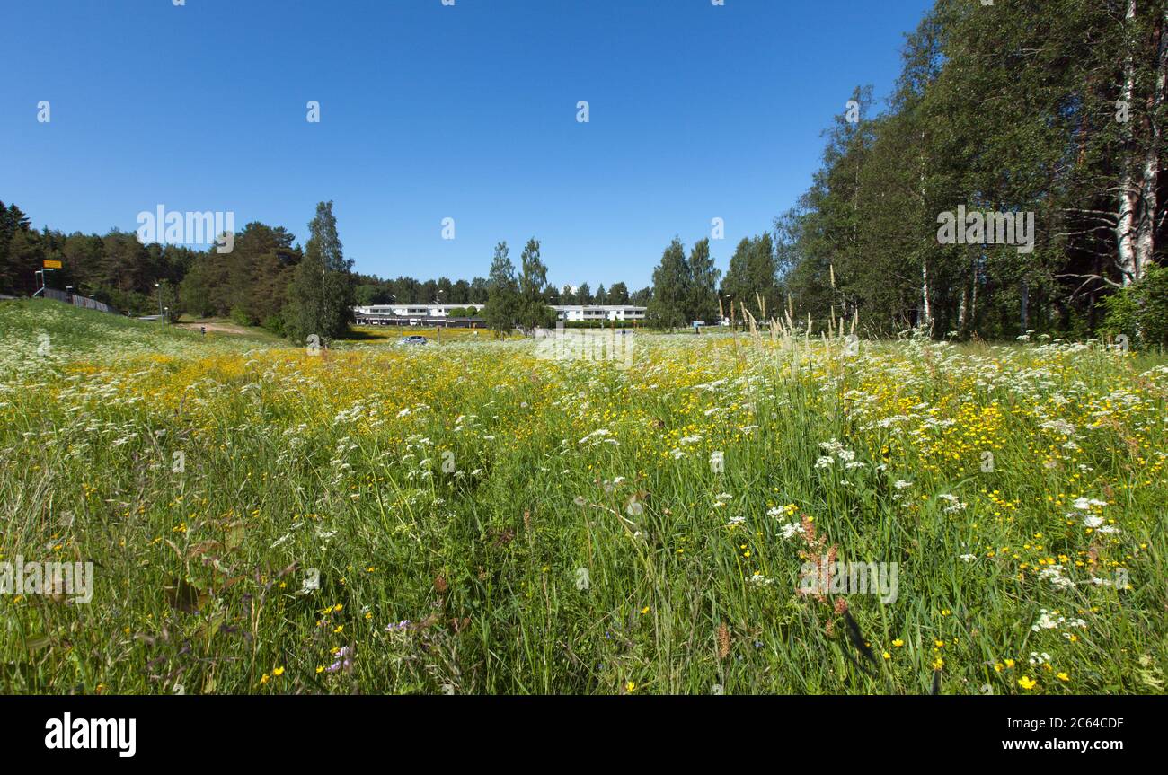 Colorful flowery meadows this side a bridge and buildings. Wood in the ...