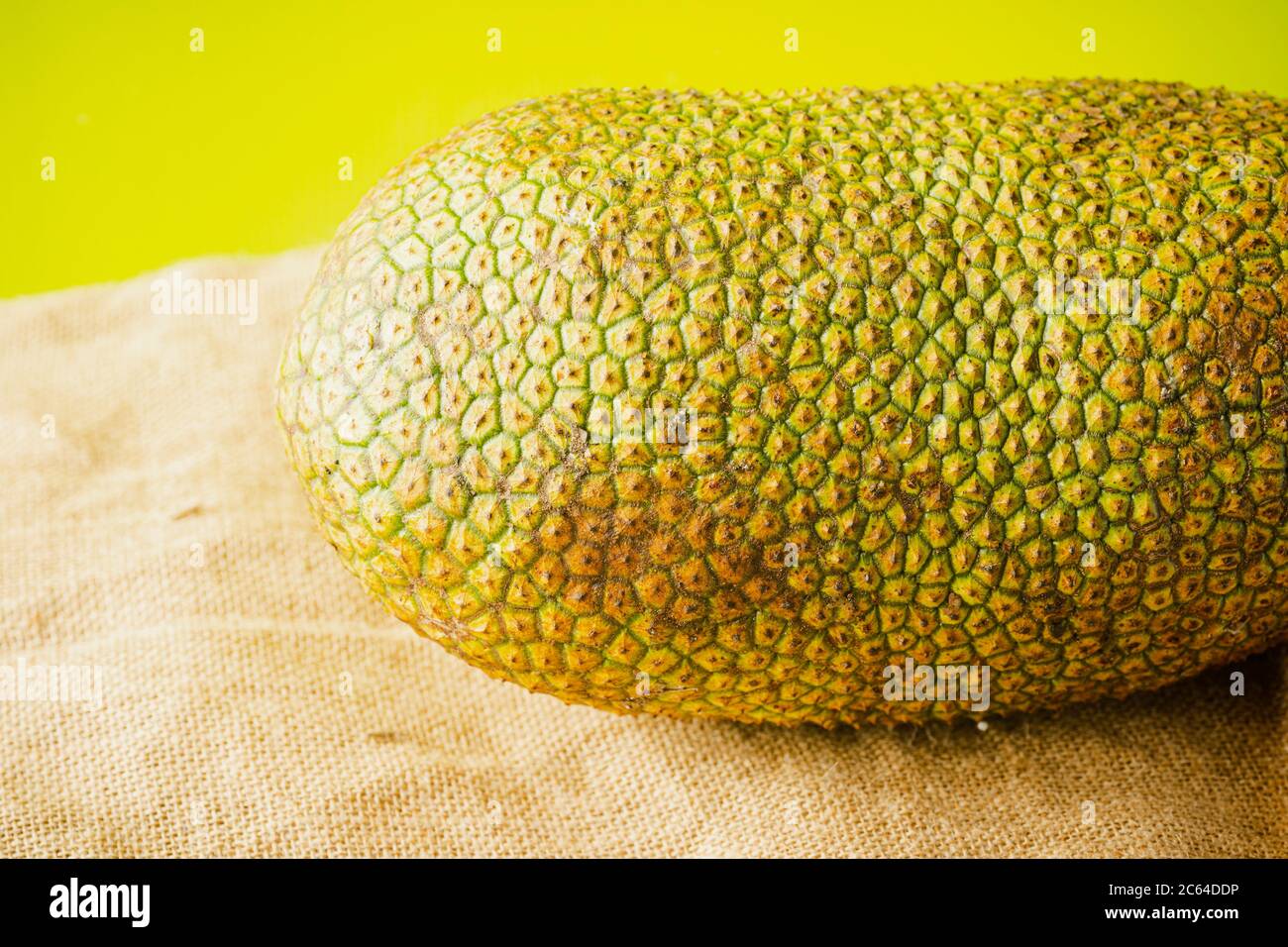 Artocarpus integer, commonly known as chempedak or cempedak is a ...