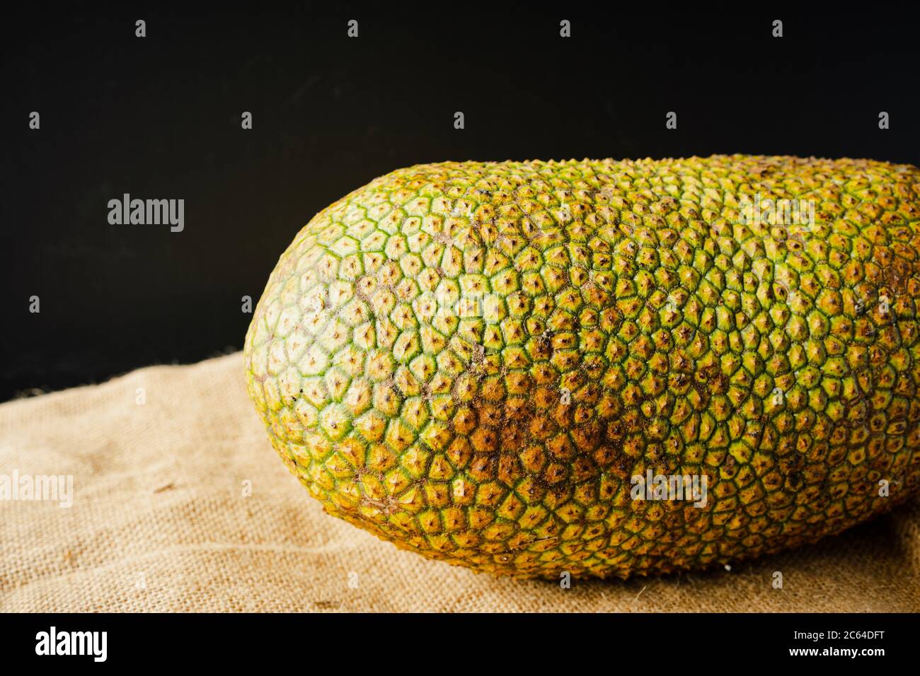 Artocarpus integer, commonly known as chempedak or cempedak is a ...