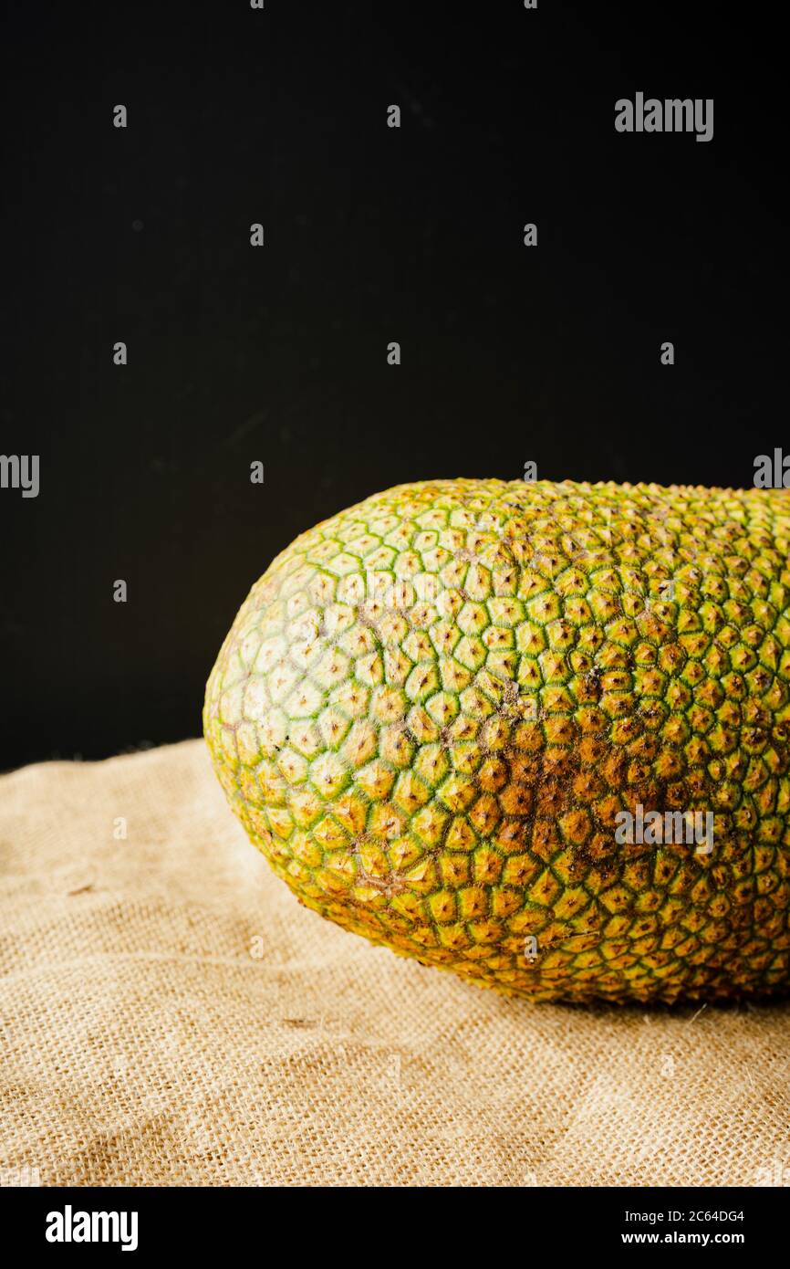 Artocarpus integer, commonly known as chempedak or cempedak is a ...