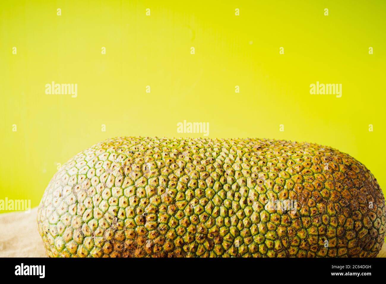 Artocarpus integer, commonly known as chempedak or cempedak is a ...