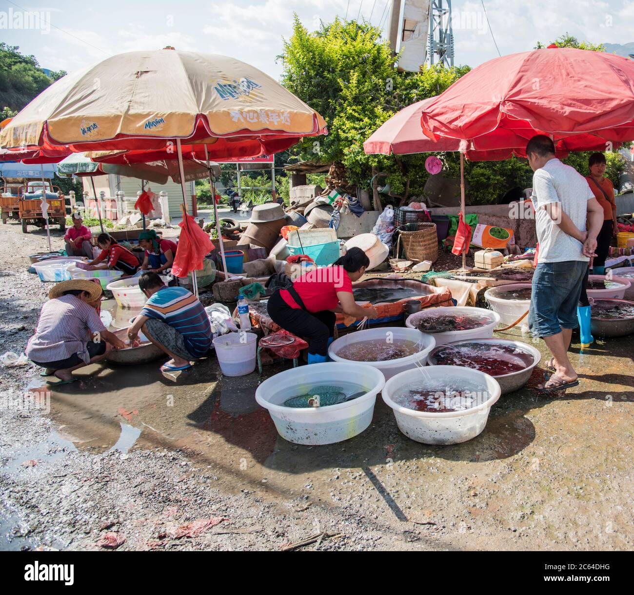 Chinese lady selling fish from a traditional local street market in the ...