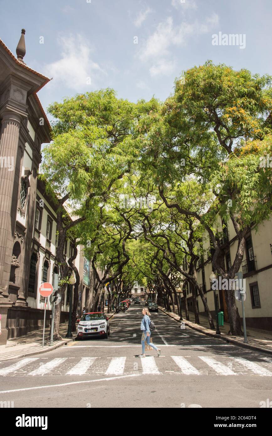 A local lady walking across zebra crossings in the town of Funchal ...
