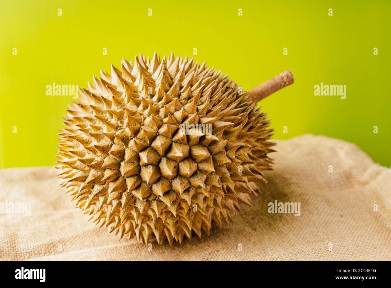 The durian is the fruit of several tree species belonging to the genus ...
