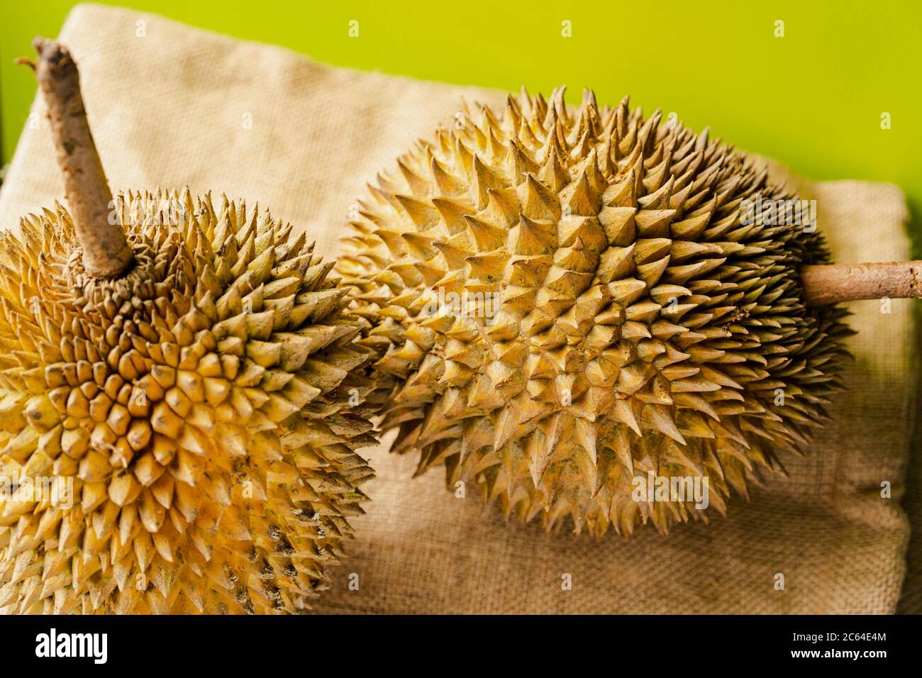 The durian is the fruit of several tree species belonging to the genus ...