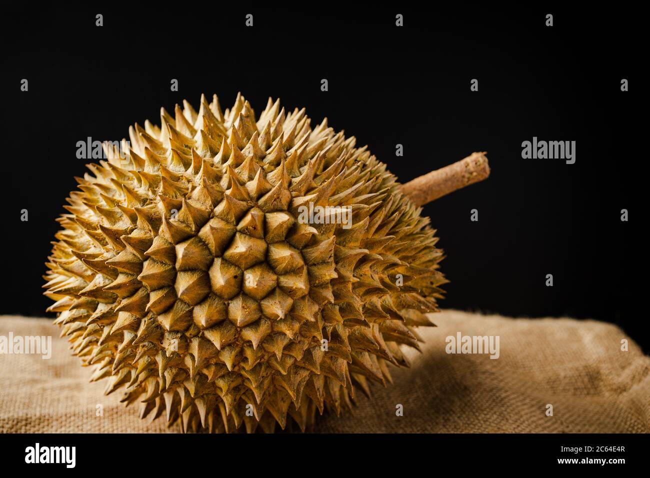 The durian is the fruit of several tree species belonging to the genus ...