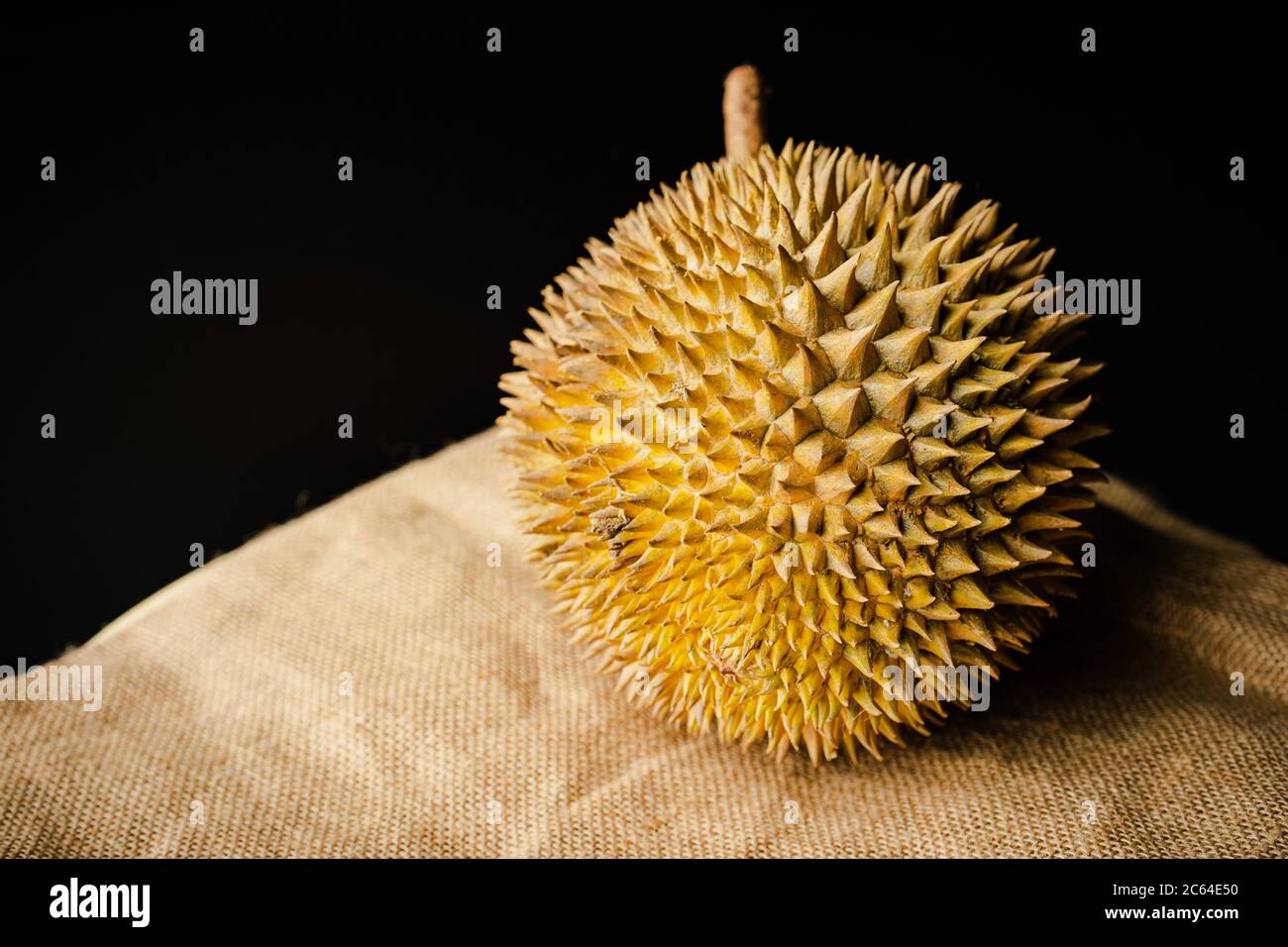 The durian is the fruit of several tree species belonging to the genus ...