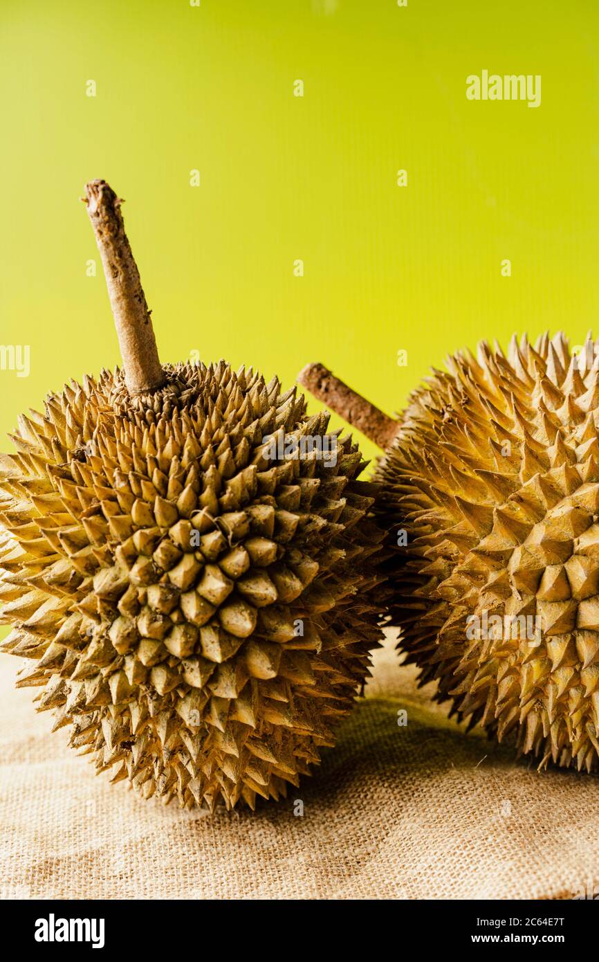 The durian is the fruit of several tree species belonging to the genus ...