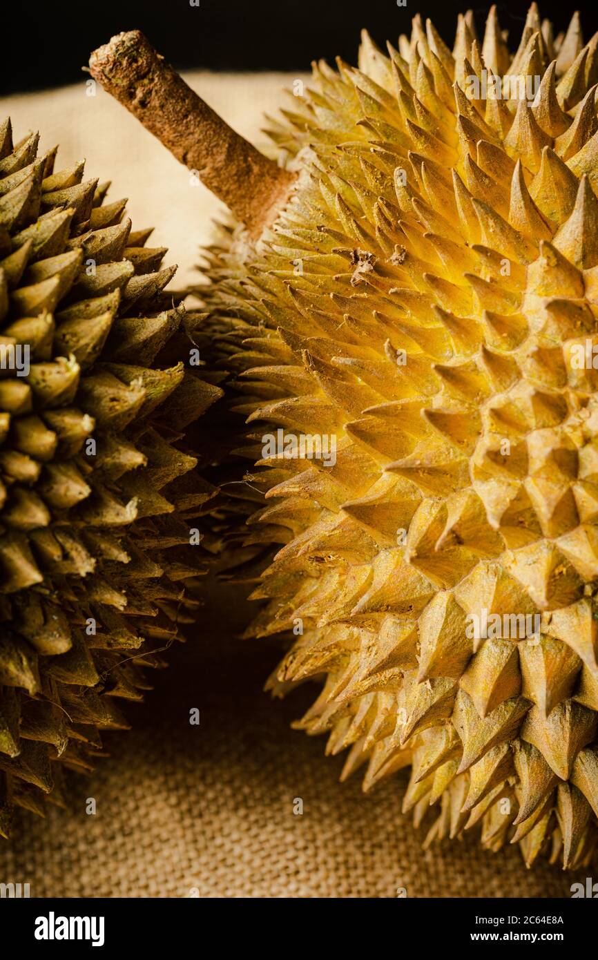 The durian is the fruit of several tree species belonging to the genus ...