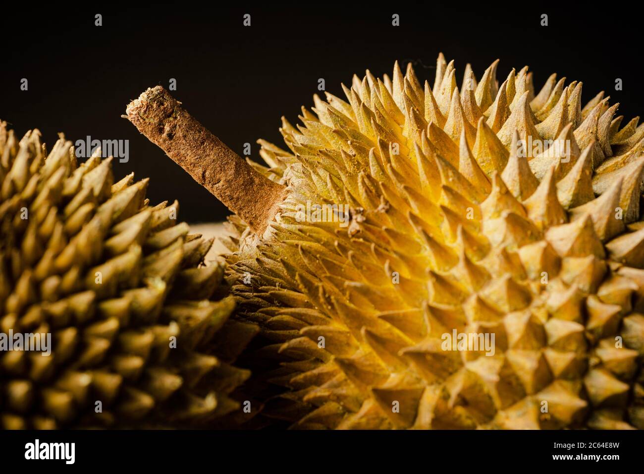 The durian is the fruit of several tree species belonging to the genus ...