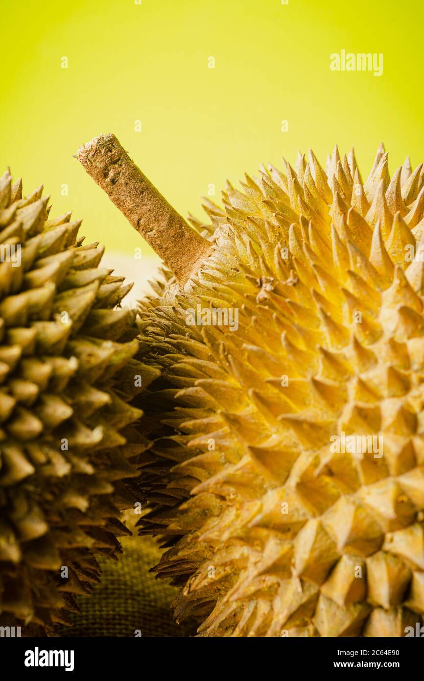 The durian is the fruit of several tree species belonging to the genus ...