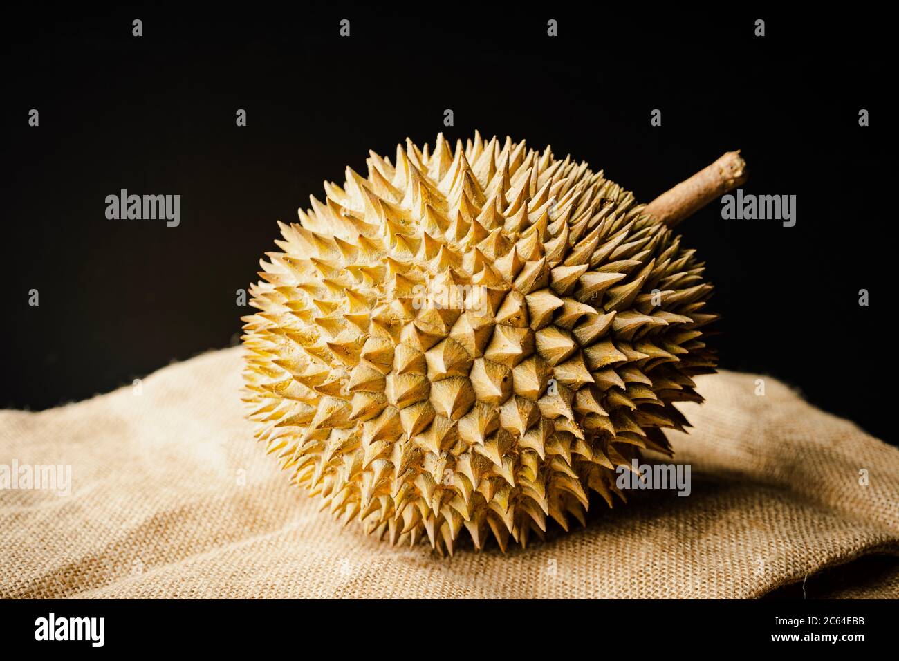 The durian is the fruit of several tree species belonging to the genus ...