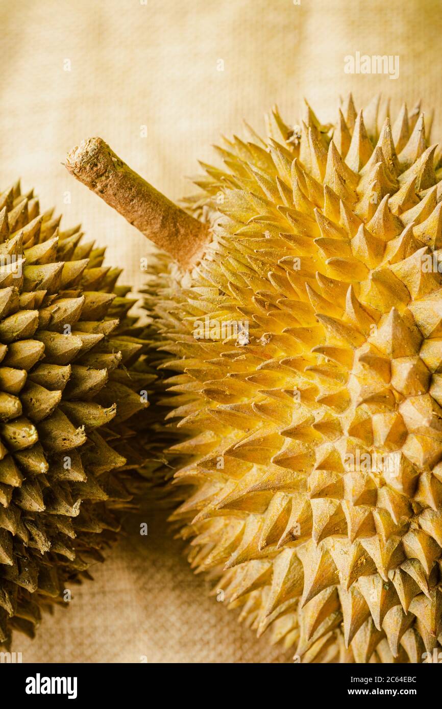 The durian is the fruit of several tree species belonging to the genus ...