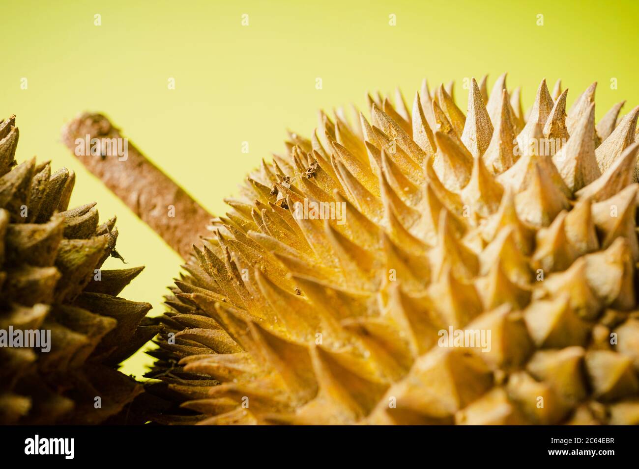 The durian is the fruit of several tree species belonging to the genus ...