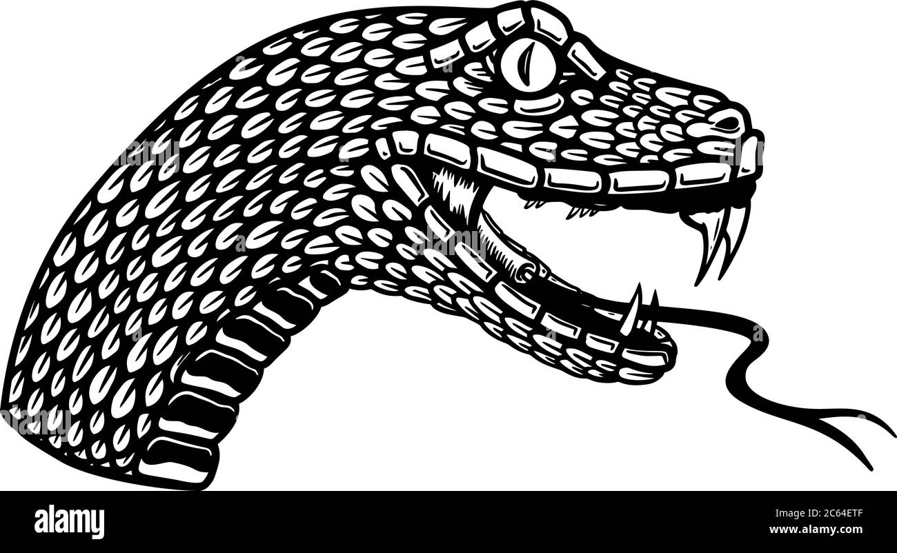 Snake Head Illustration