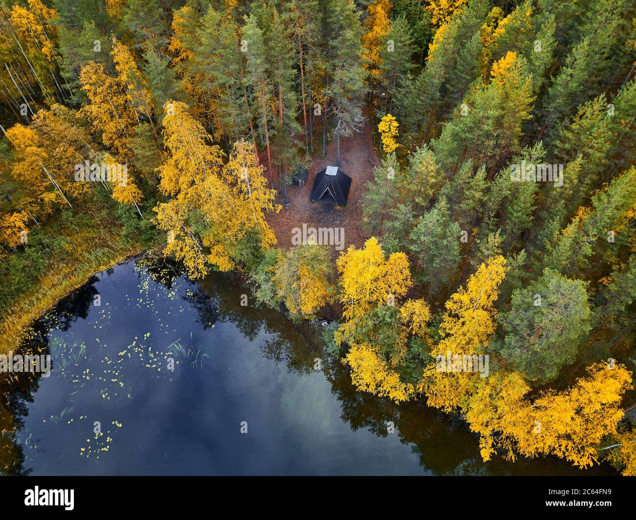 Aerial view of Harvinjarvi lake in Finland. Finnish nature. Beautiful ...
