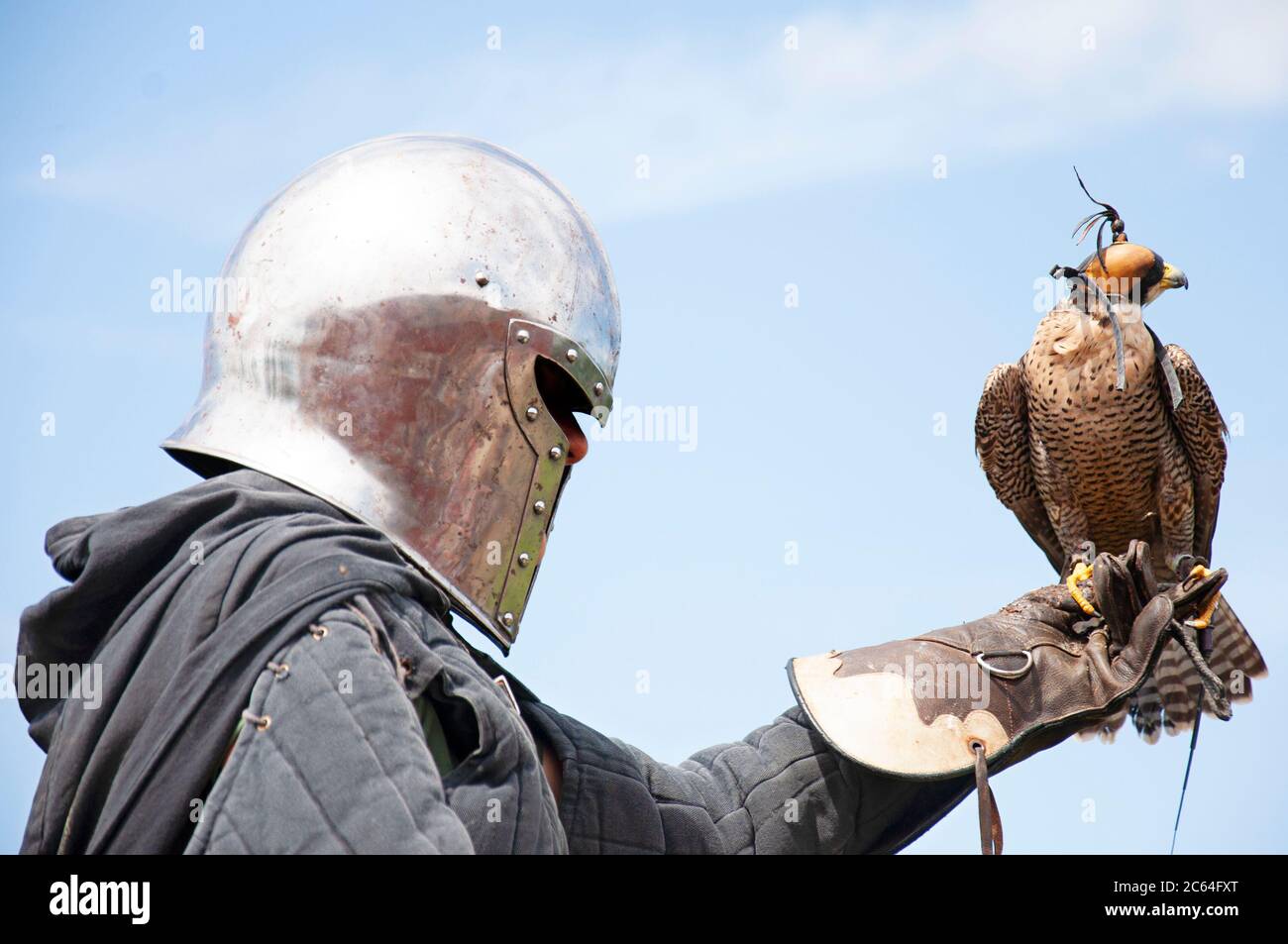Medieval Falconry High Resolution Stock Photography and Images - Alamy
