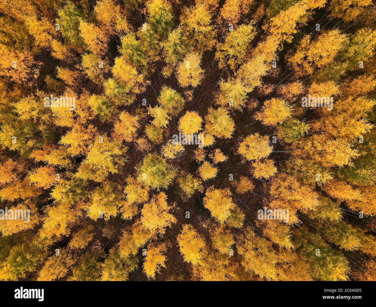 Straight down satellite image hi-res stock photography and images - Alamy