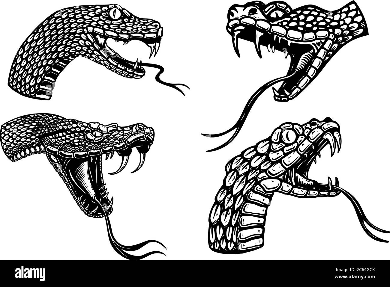 Snake Head Side View Drawing