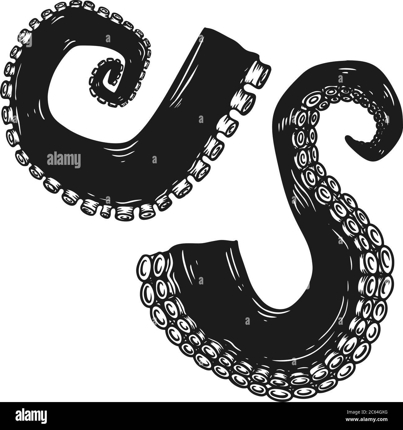 Squid Tentacles Illustration