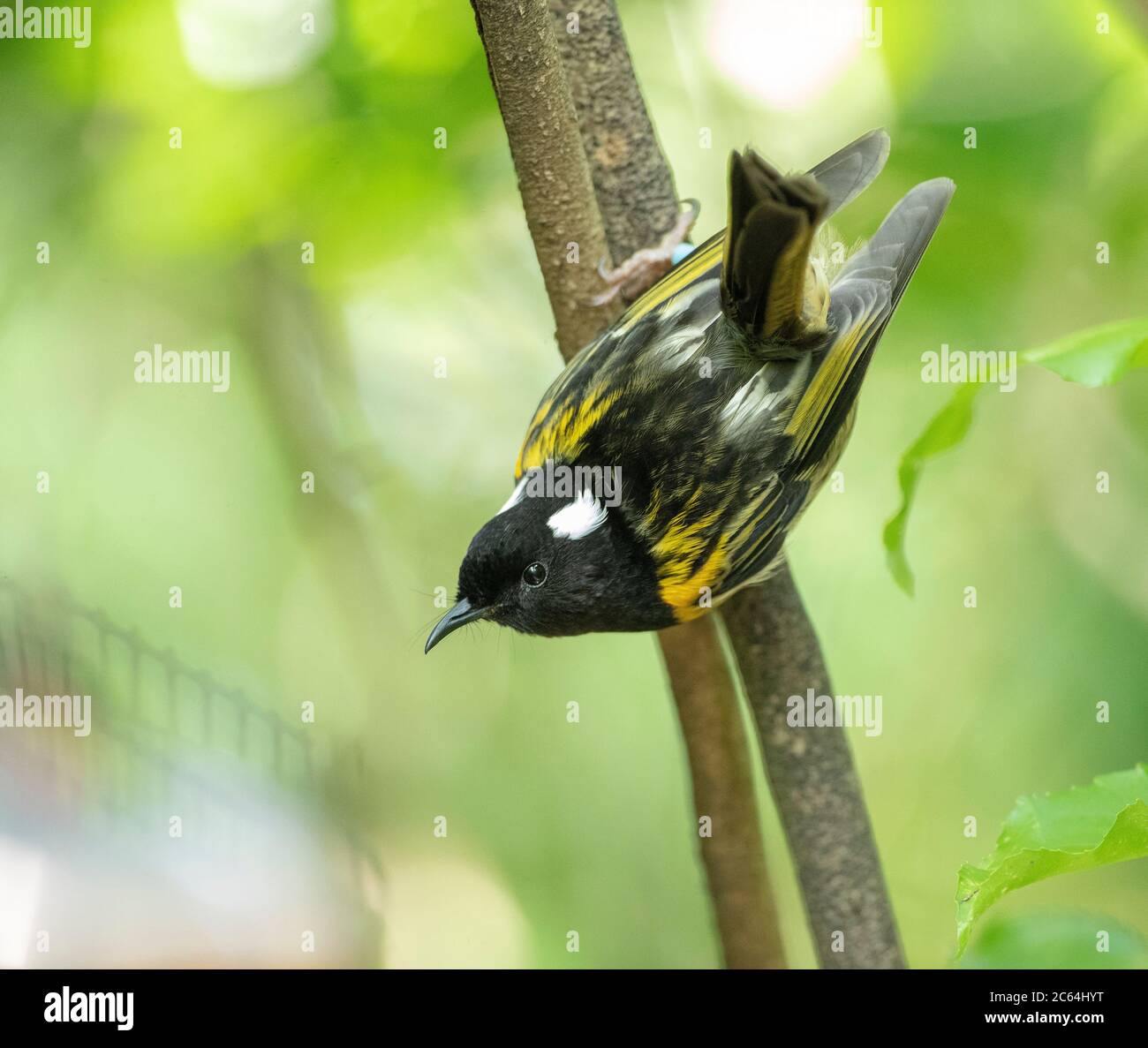 Active reserves hi-res stock photography and images - Alamy